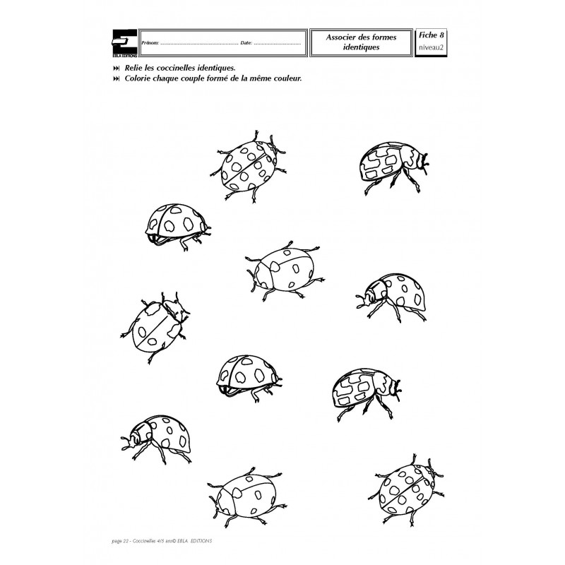 Fichier d'activités sur les coccinelles 4/5 ans (MS)